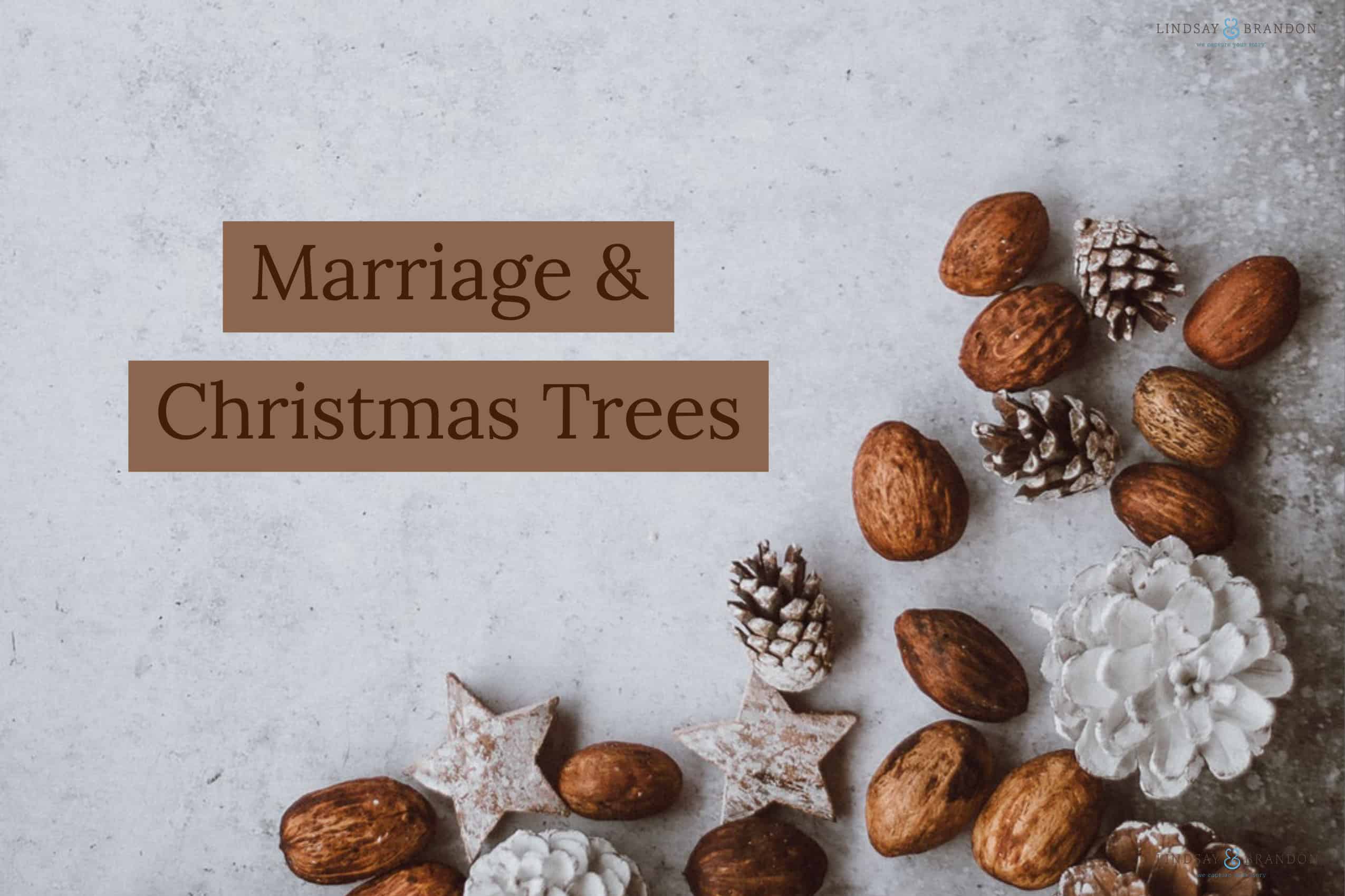 Marriage and Christmas Trees - Lindsay and Brandon Photography ...